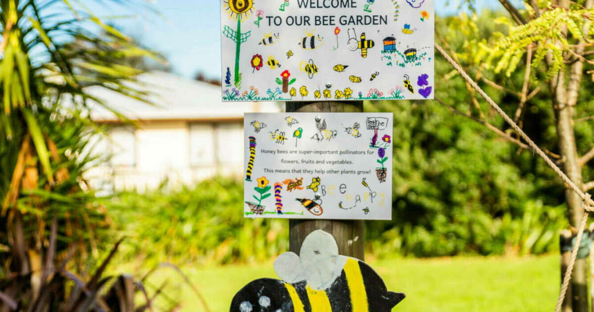 Te Rito Toi | New Zealand National Commission of UNESCO